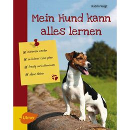 Mein Hund kann alles lernen