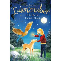 Eulenzauber 06. Hilfe f&uuml;r das kleine Fohlen