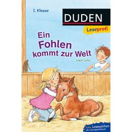 Leseprofi - Ein Fohlen kommt zur Welt, 1. Klasse