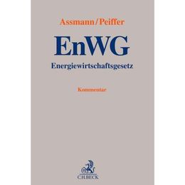 Energiewirtschaftsgesetz. EnWG