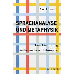 Sprachanalyse und Metaphysik