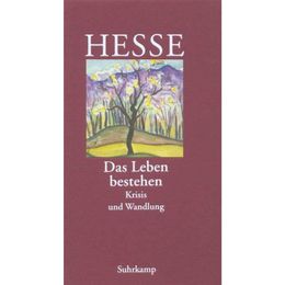 &raquo;Das Leben bestehen&laquo;