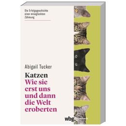 Katzen