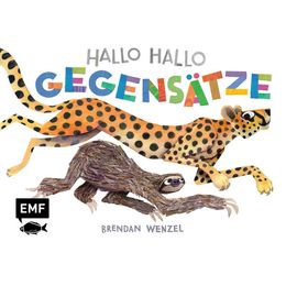 Hallo Hallo - Gegens&auml;tze