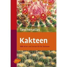 Taschenatlas Kakteen