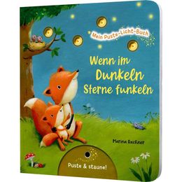 Esslinger Mein Puste-Licht-Buch: Wenn im Dunkeln Sterne funkeln