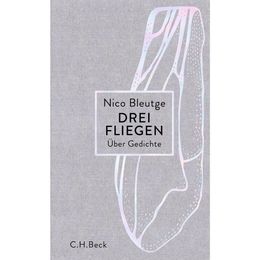 Drei Fliegen