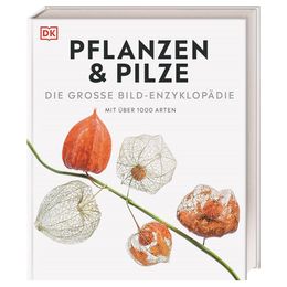 Dorling Kindersley DK Bibliothek. Pflanzen & Pilze