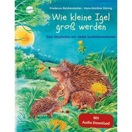 Wie kleine Igel gro&szlig; werden