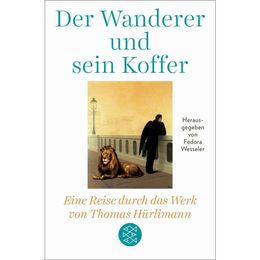 Der Wanderer und sein Koffer