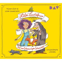 Lila Leuchtfeuer - Teil 2: Auf zur Schaurigen Schachtel!