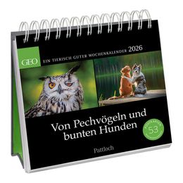 Postkartenkalender &raquo;Von Pechv&ouml;geln und bunten Hunden 2026&laquo;