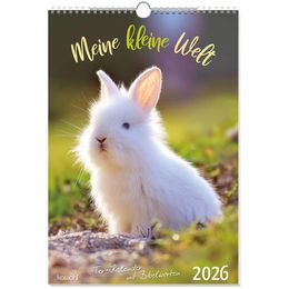 Wandkalender &raquo;Meine kleine Welt 2026&laquo;