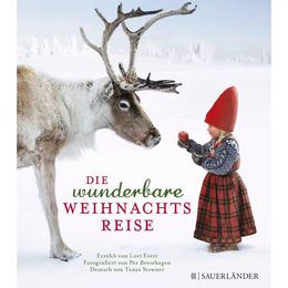 Die wunderbare Weihnachtsreise