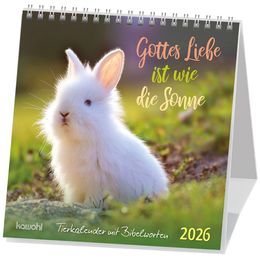 Aufstellkalender &raquo;Gottes Liebe ist wie die Sonne 2026&laquo;