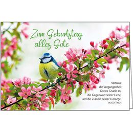 Zum Geburtstag alles Gute