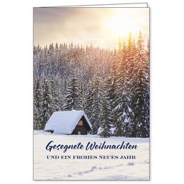Gesegnete Weihnachten und ein frohes neues Jahr