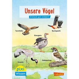 Carlsen Verlag Pixi Wissen 108: VE 5 Unsere V&ouml;gel (5 Exemplare)