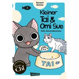 Carlsen Verlag Kleiner Tai & Omi Sue - S&uuml;&szlig;e Katzenabenteuer 3