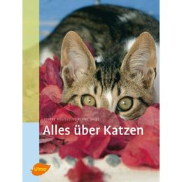 Alles &uuml;ber Katzen
