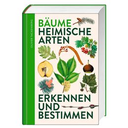 B&auml;ume