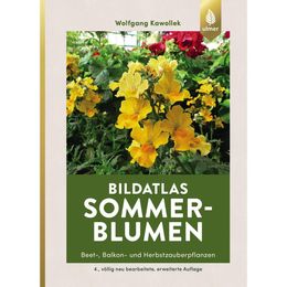 Bildatlas Sommerblumen