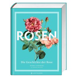 GERSTENBERG Rosen
