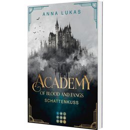 Carlsen Verlag Academy of Blood and Fangs 2: Schattenkuss