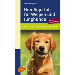 Hom&ouml;opathie f&uuml;r Welpen und Junghunde