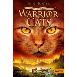 Warrior Cats - Vision von Schatten. Fluss aus Feuer
