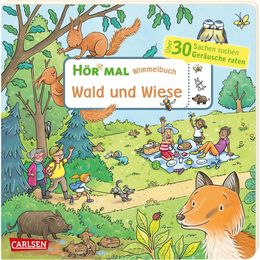 Carlsen Verlag H&ouml;r mal (Soundbuch): Wimmelbuch: Wald und Wiese