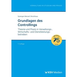 Grundlagen des Controllings