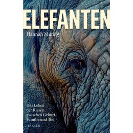 Elefanten