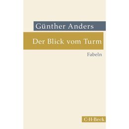 Der Blick vom Turm