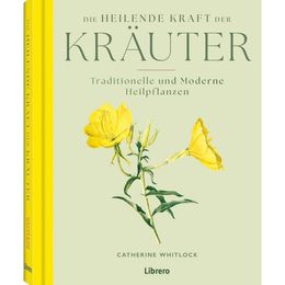 Die heilende Kraft der Kr&auml;uter