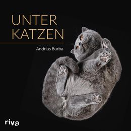 Riva Verlag Unter Katzen