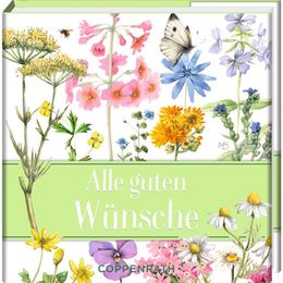 Alle guten W&uuml;nsche