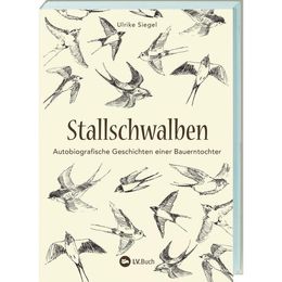 Stallschwalben