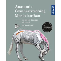 Franckh-Kosmos Anatomie, Gymnastizierung, Muskelaufbau