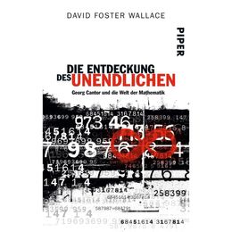 Piper Verlag GmbH Die Entdeckung des Unendlichen