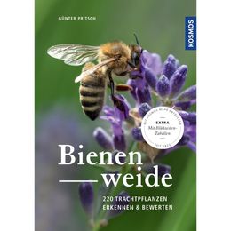 Franckh-Kosmos Bienenweide