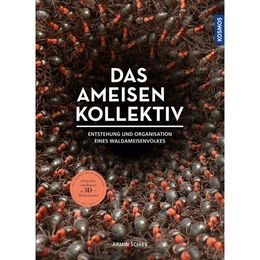 Franckh-Kosmos Das Ameisenkollektiv
