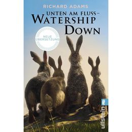 Ullstein Taschenbuchvlg. Unten am Fluss - 'Watership Down'