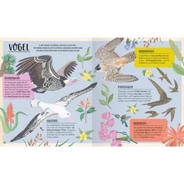 RAVENSBURGER VERLAG Auf und Ab