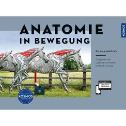 Franckh-Kosmos Anatomie in Bewegung