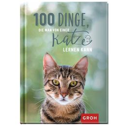 100 Dinge die man von einer Katze lernen kann