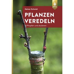Pflanzen veredeln