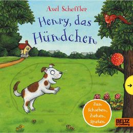 Henry, das H&uuml;ndchen