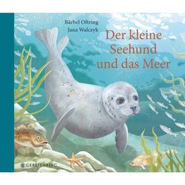 GERSTENBERG Der kleine Seehund und das Meer