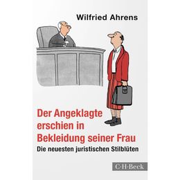 Der Angeklagte erschien in Bekleidung seiner Frau